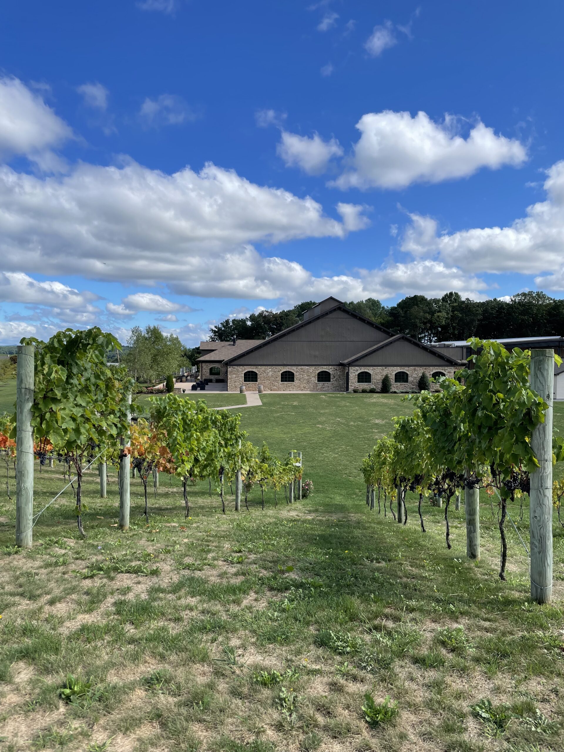Photo Gallery - Folino Estate Winery