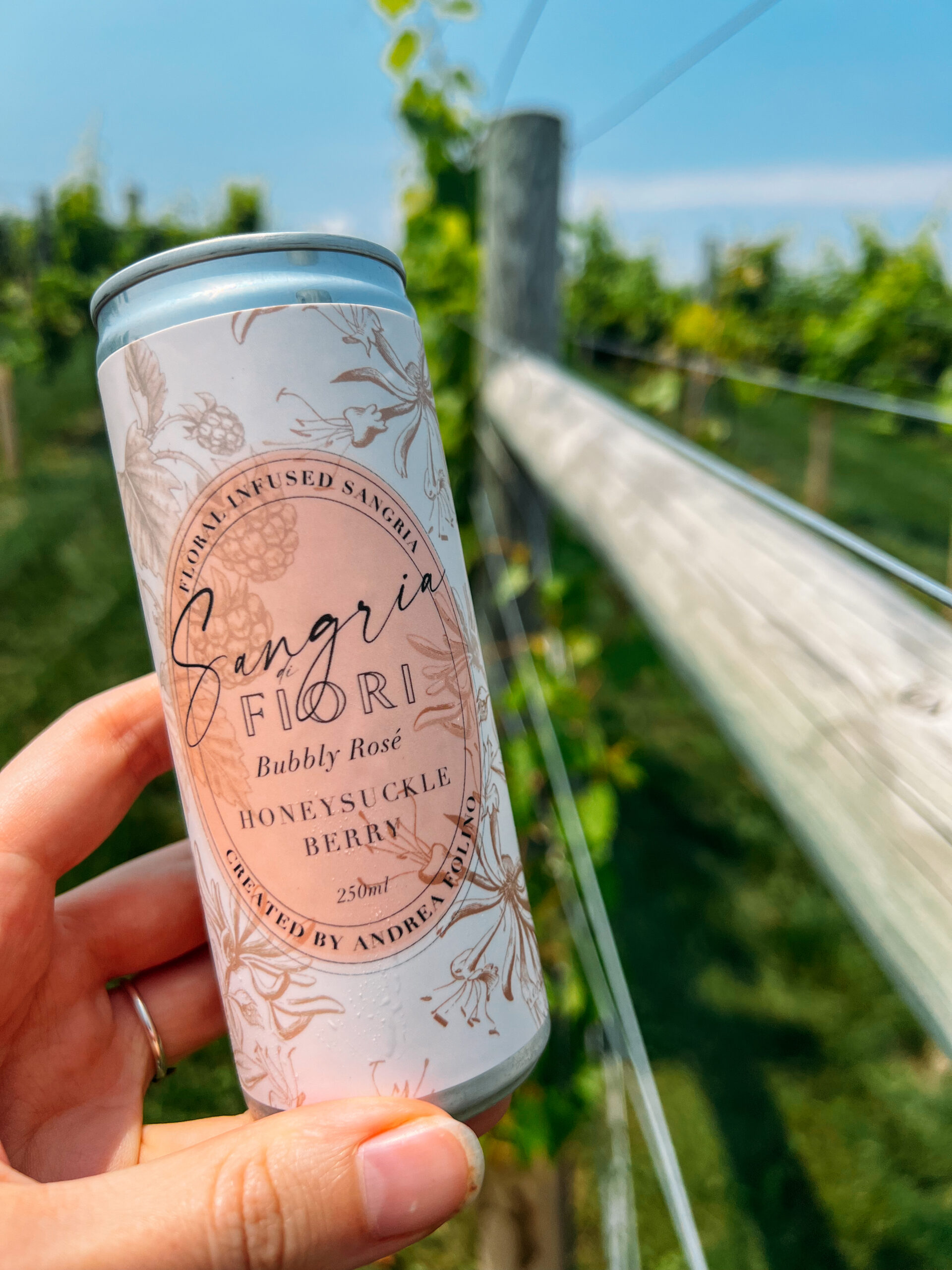 Canned Sangria di Fiori Launch! - Folino Estate Winery