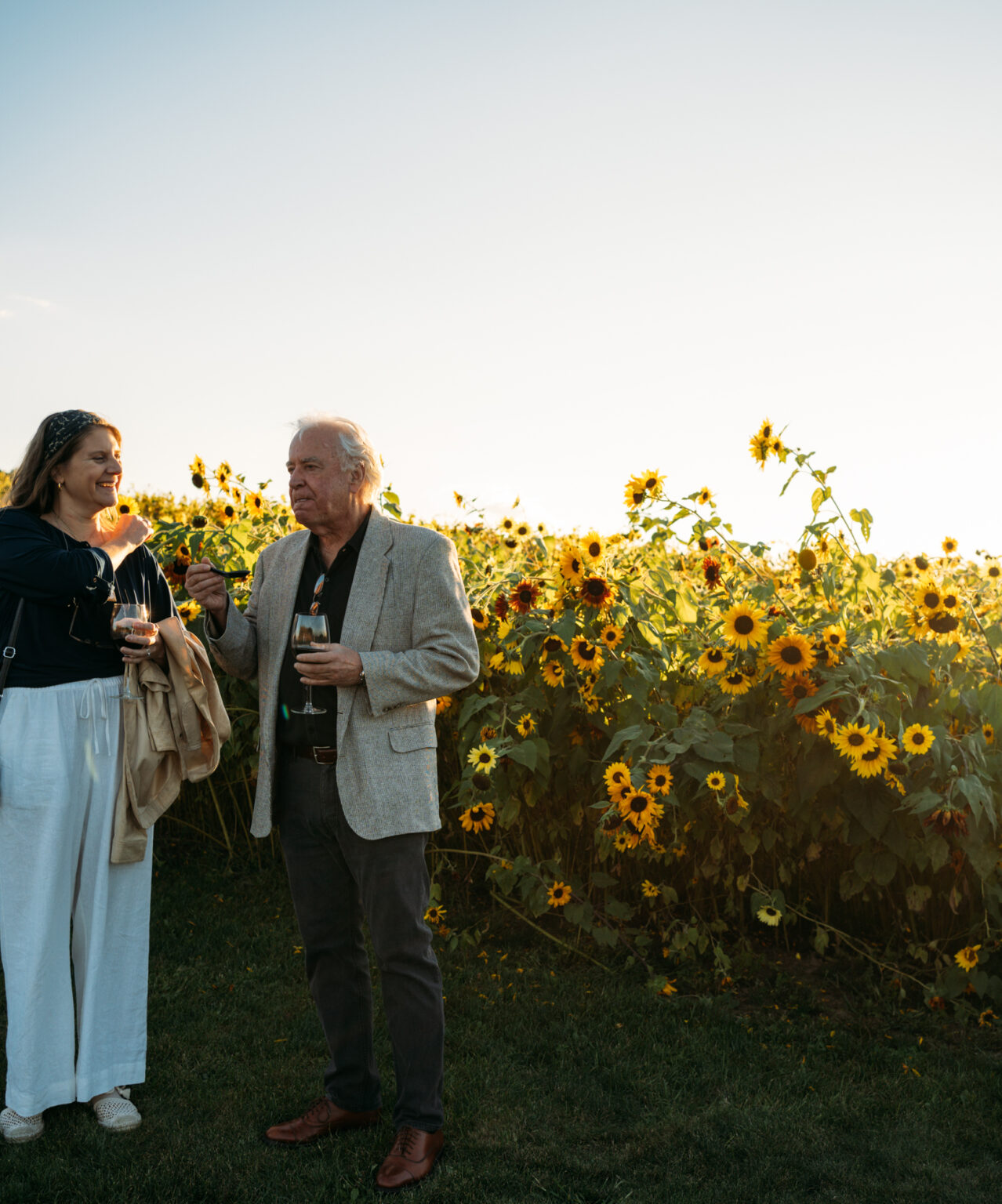 Explore our Clubs - Folino Estate Winery