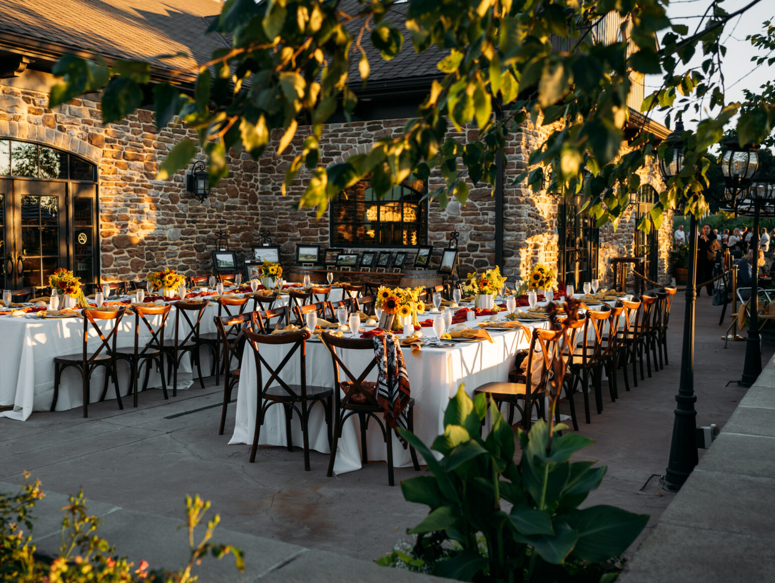 Folino Family Club Dinner Fall 2023 - Folino Estate Winery